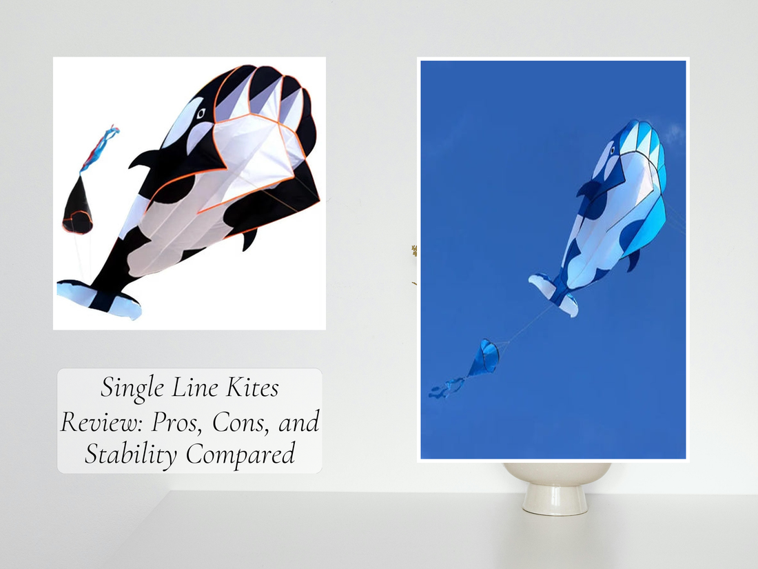 Single Line Kites: 5 Secrets to Better Kite Stability – KentDO™ Mom & Baby